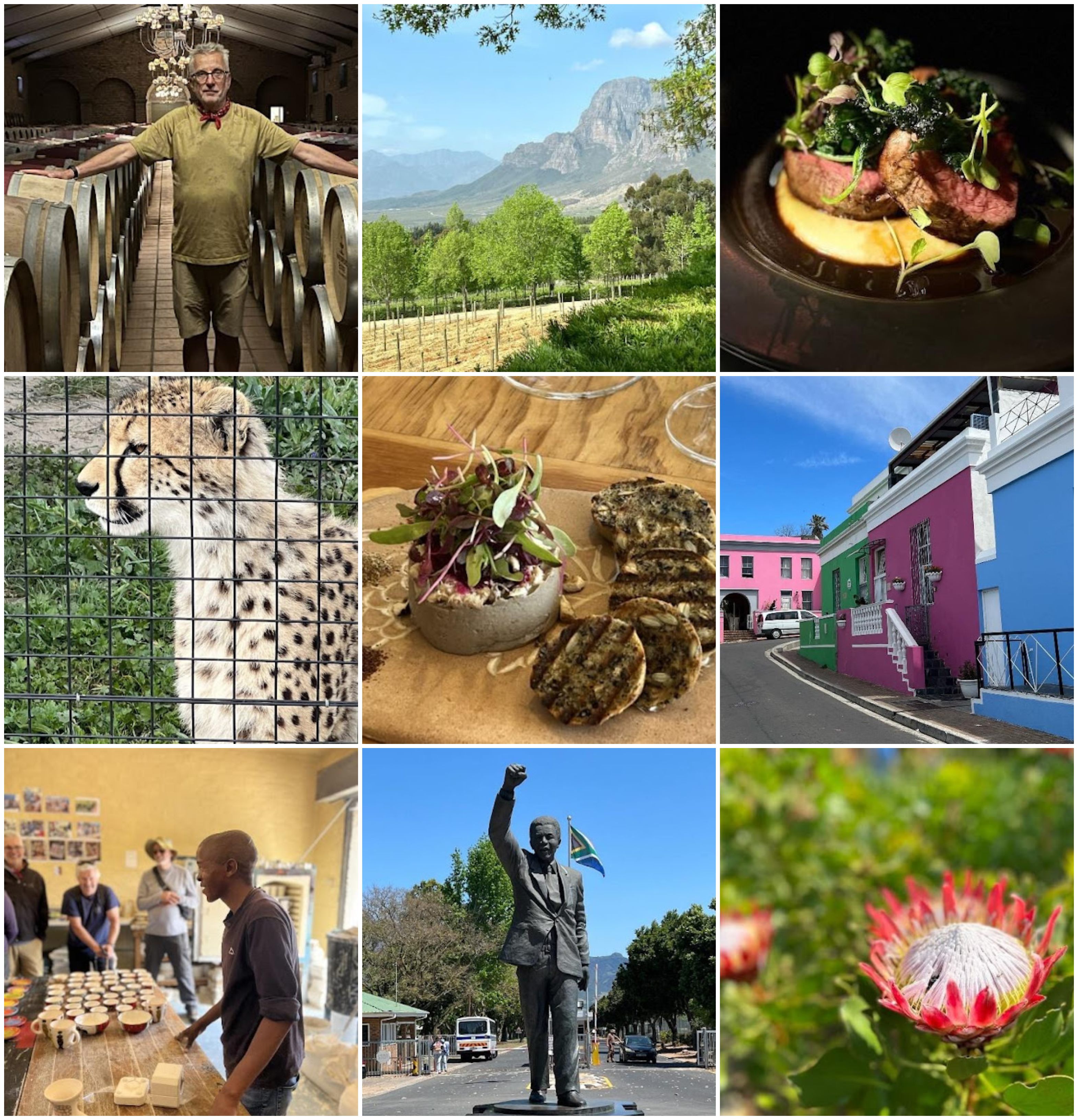 South African Sojourn: Ancient Art, Wild Animals and the...
