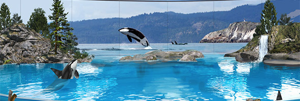 SEAWORLD ANNOUNCES LAST GENERATION OF ORCAS